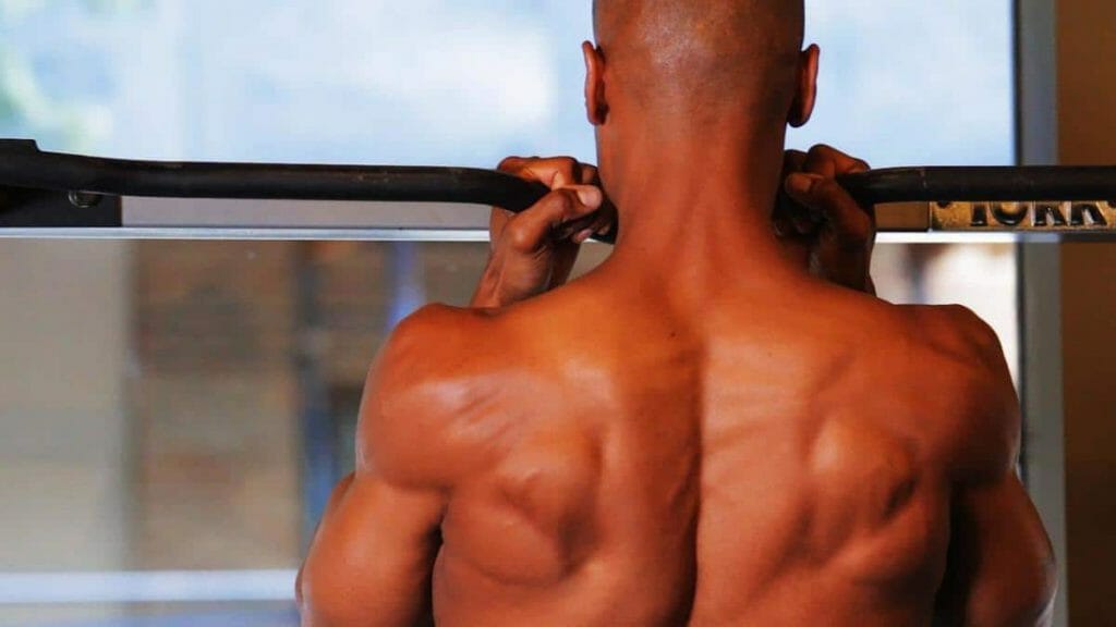 The Best Chin-Up Bars