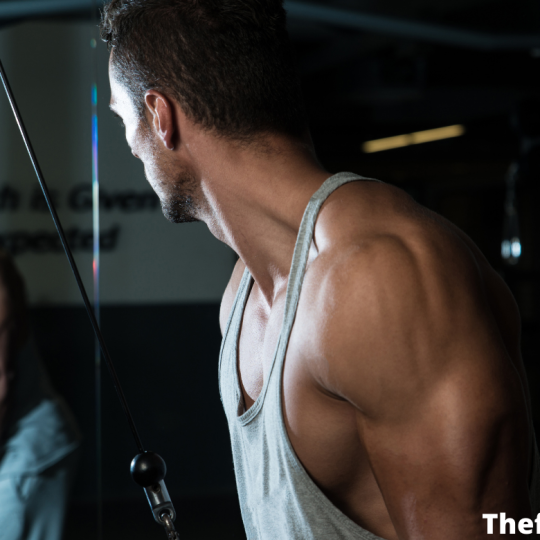 Exercises for the Lateral Head of the Triceps